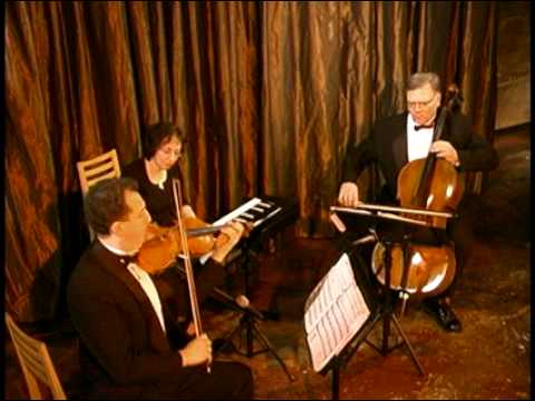 Canon in D - Pachelbel - Classical Clips