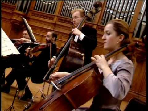 Rimsky-Korsakov - Flight of the Bumblebee - Classical Clips