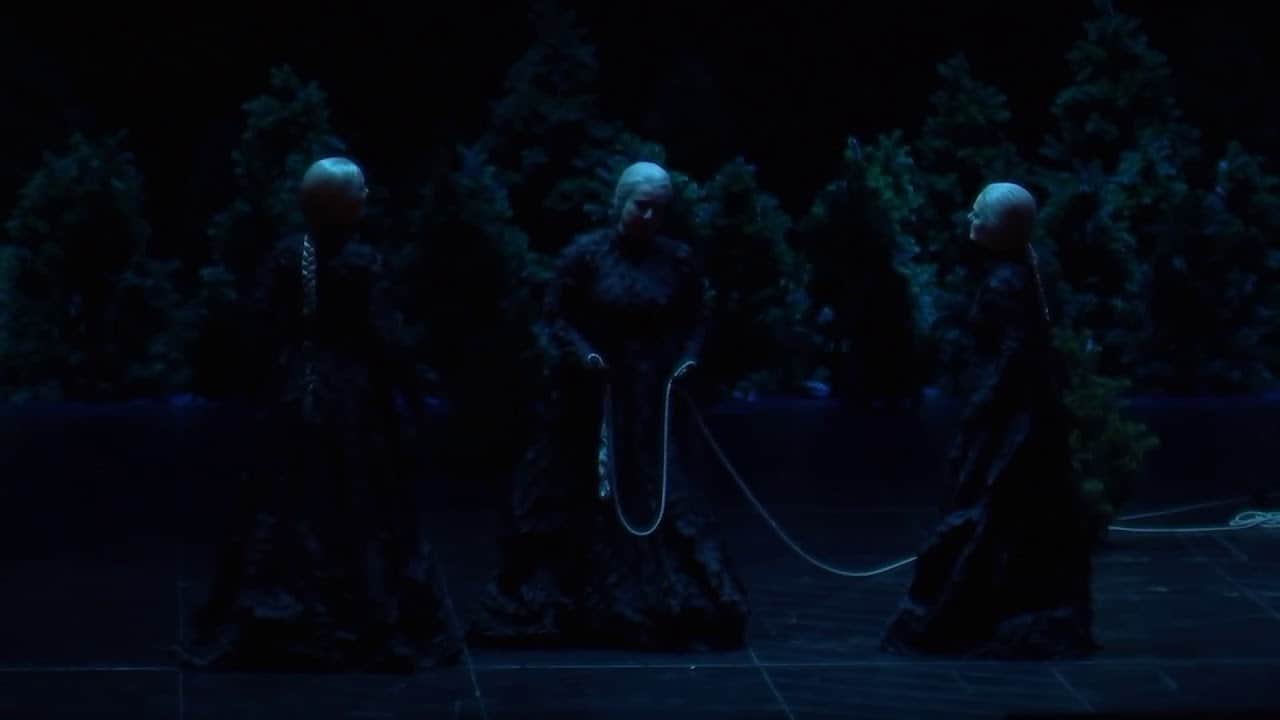 Götterdämmerung from Wagner's Ring Cycle, Presented by Vienna State ...