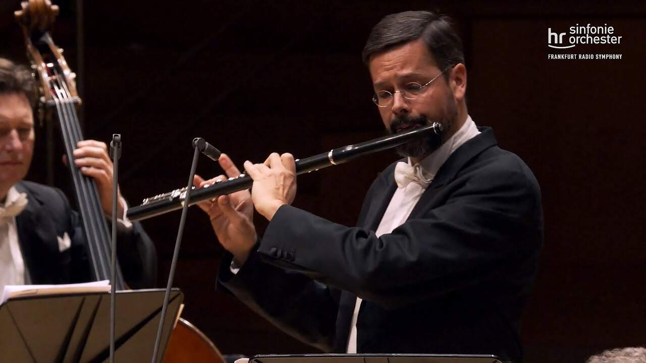 Telemann - Flute Concerto in D Major, TWV 51:D1 - Featuring Sebastian ...